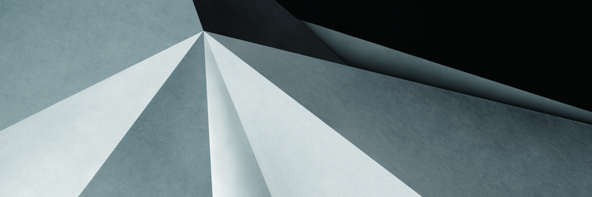 Executive Team | WS Development